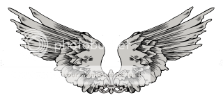Angel Wings Clipart Border By Sq Stargazer00 Photo by roadstar166 ...